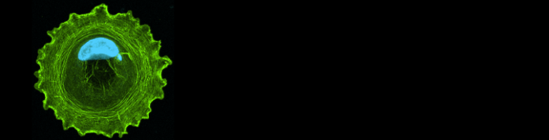 Services provided by the CTIU - Cell and Tissue Imaging Unit