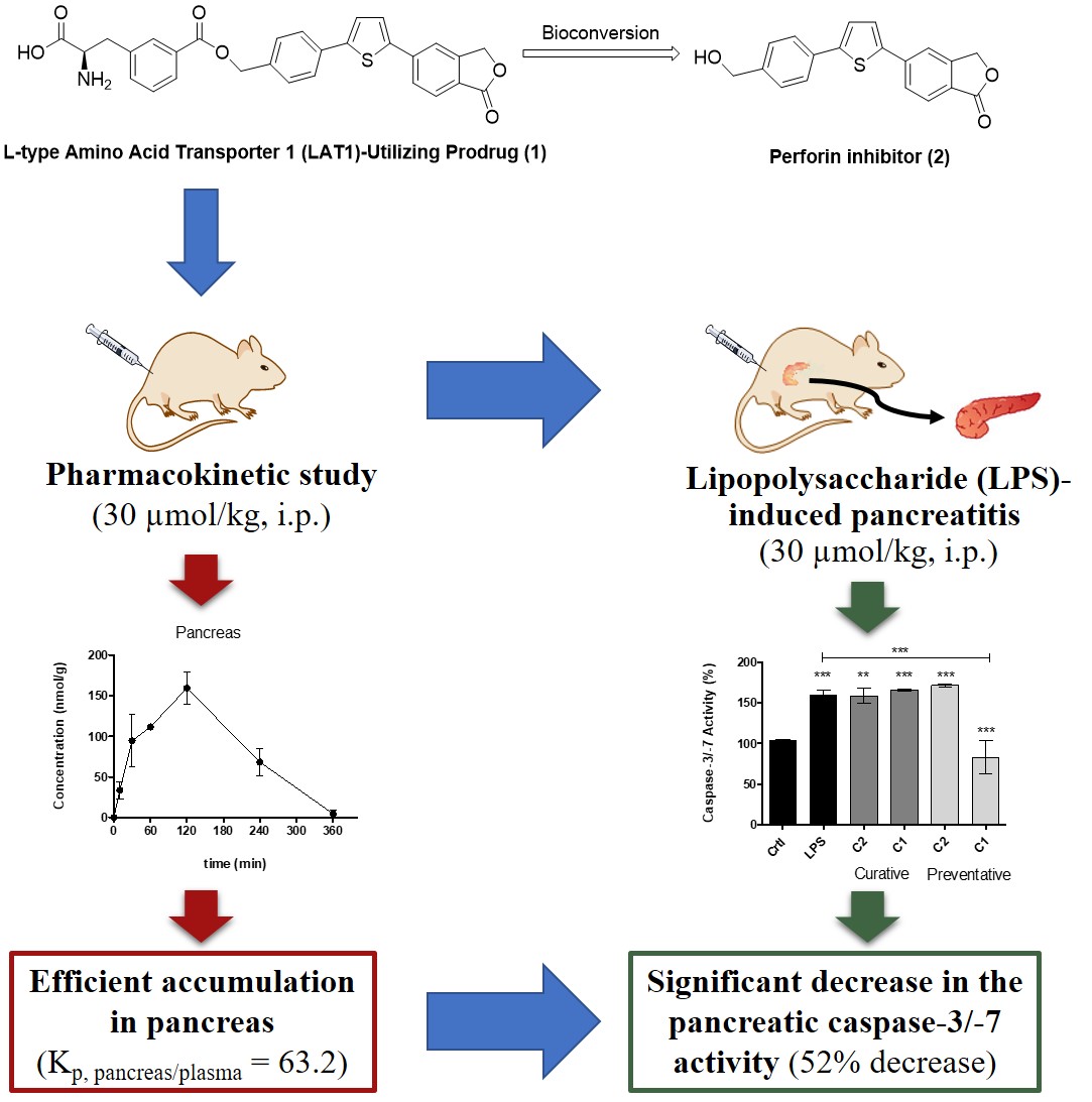 Pancreatic Targeting – Drug Targeting