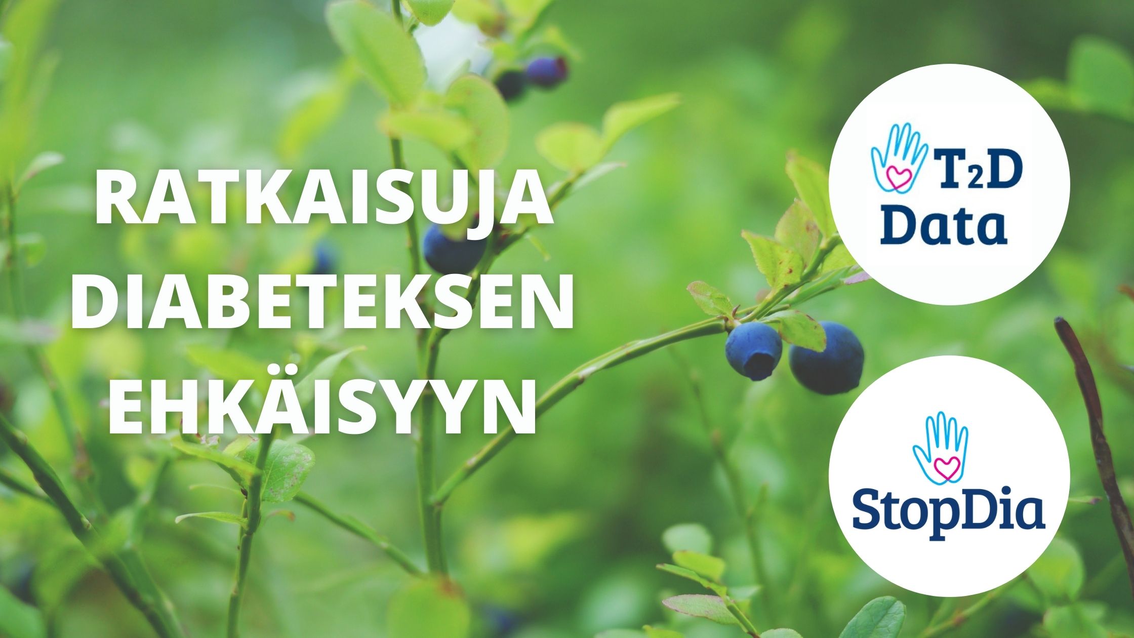StopDia ja T2D-Data - StopDia